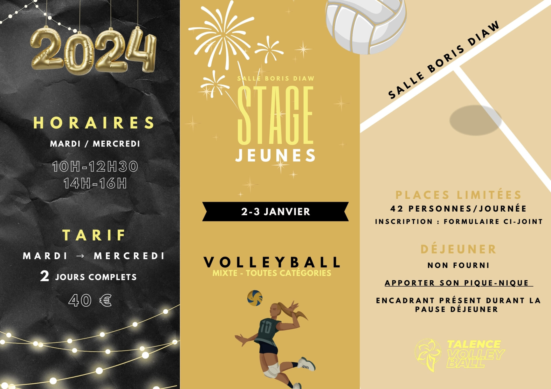 Stages jeunes – Talence Volleyball
